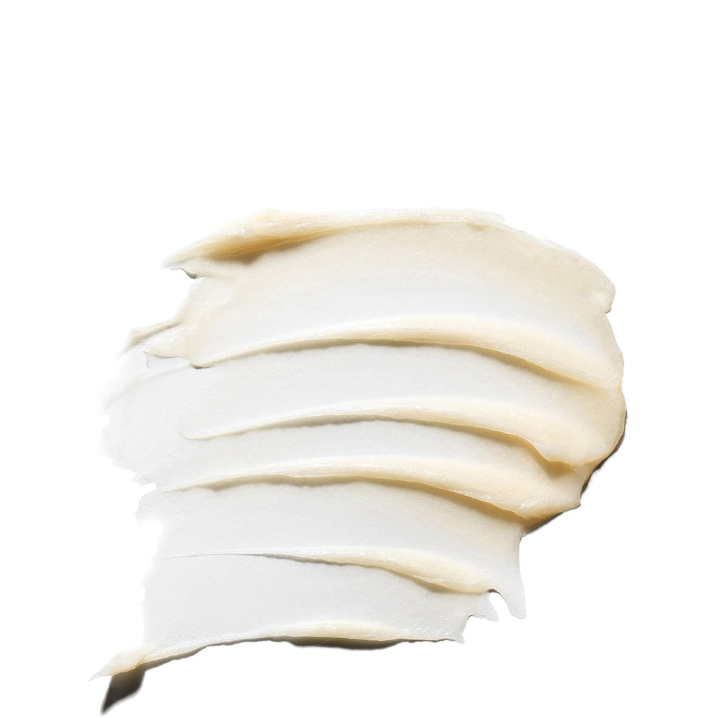 VIRTUE Recovery Discovery Kit | Nourish & Repair – AbsoluteSkin